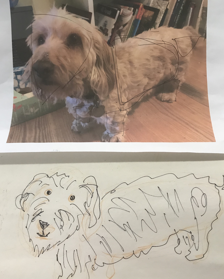 Draw your Pet--Real and Imaginary